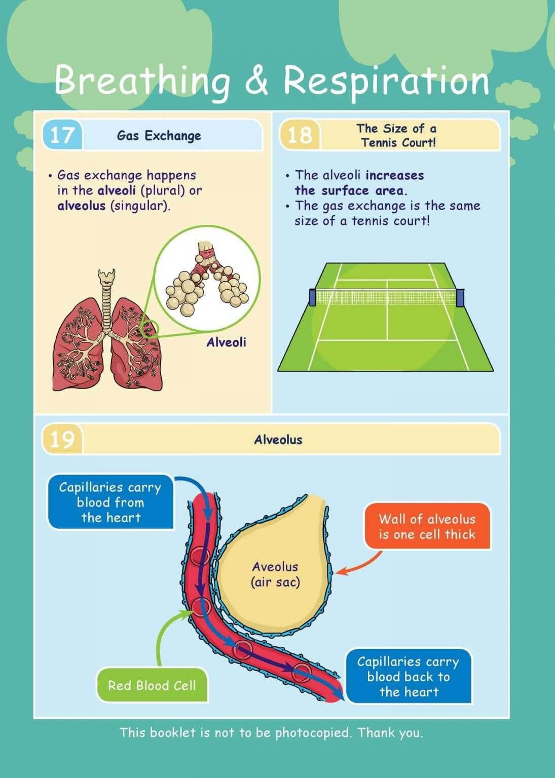 Breathing & Respiration KS3 Biology | Resources For Dyslexics