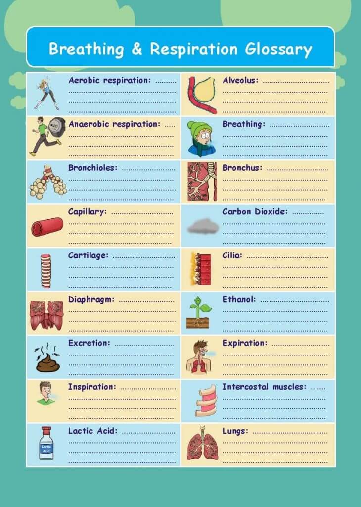 Breathing & Respiration KS3 Biology | Resources For Dyslexics