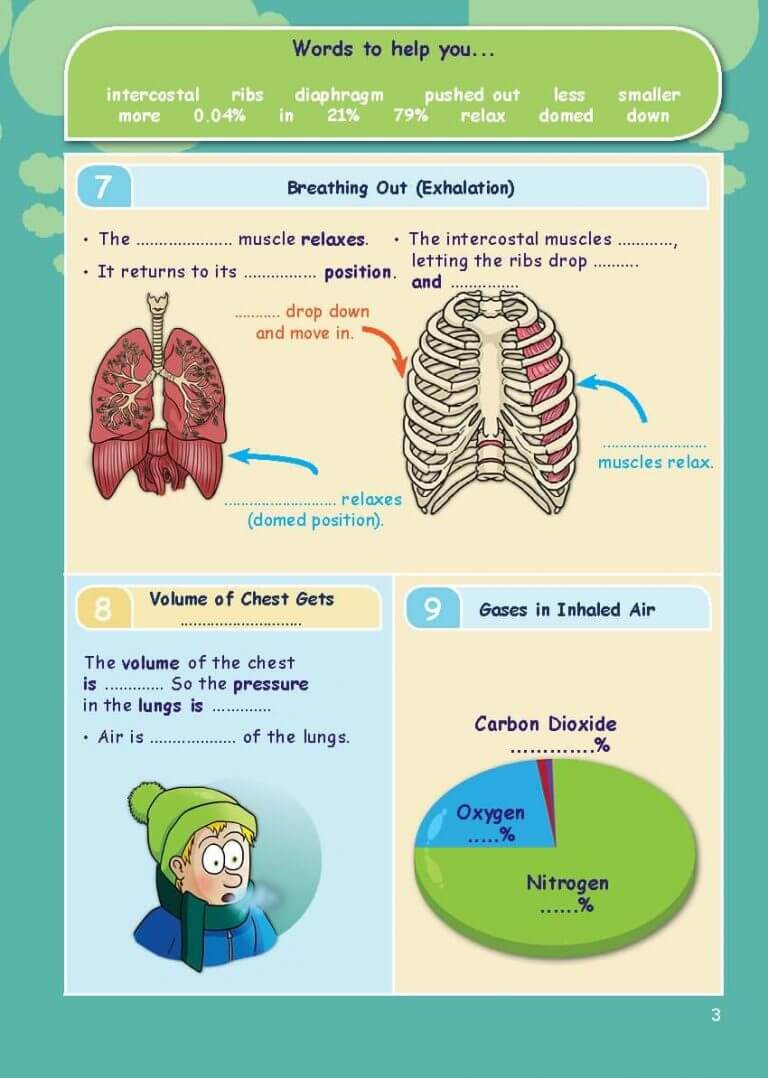 Breathing & Respiration KS3 Biology | Resources For Dyslexics