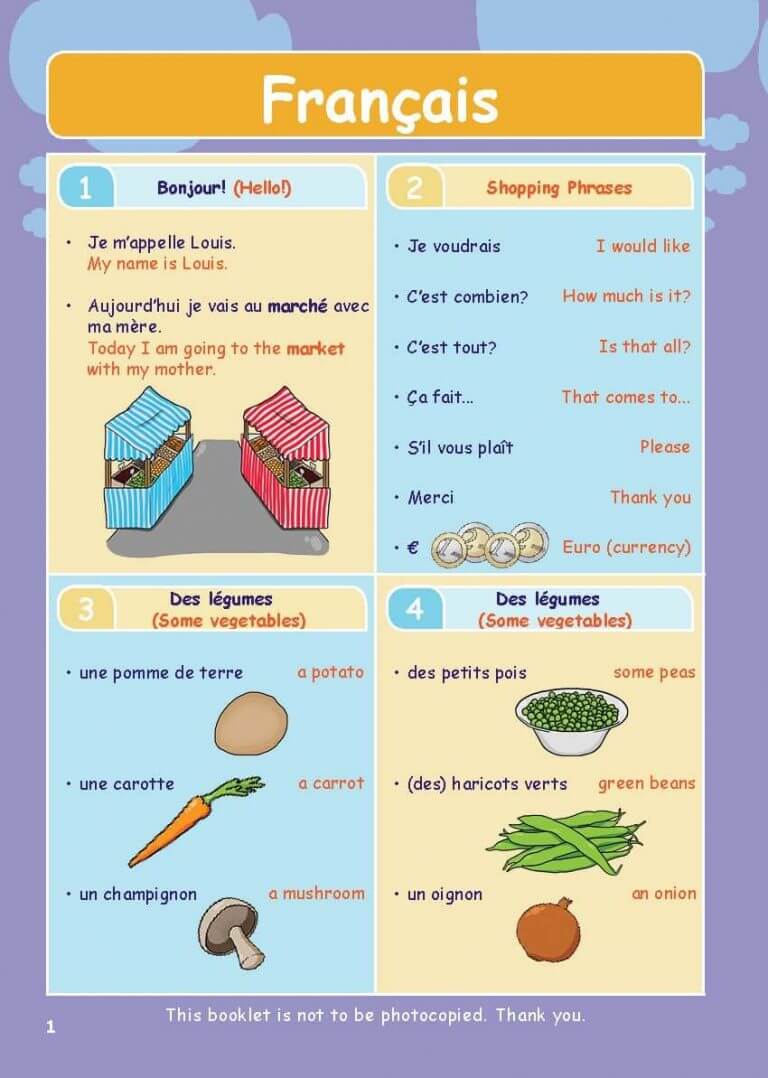 CE KS3 French Revision | Guide Book | Resources For Dyslexics