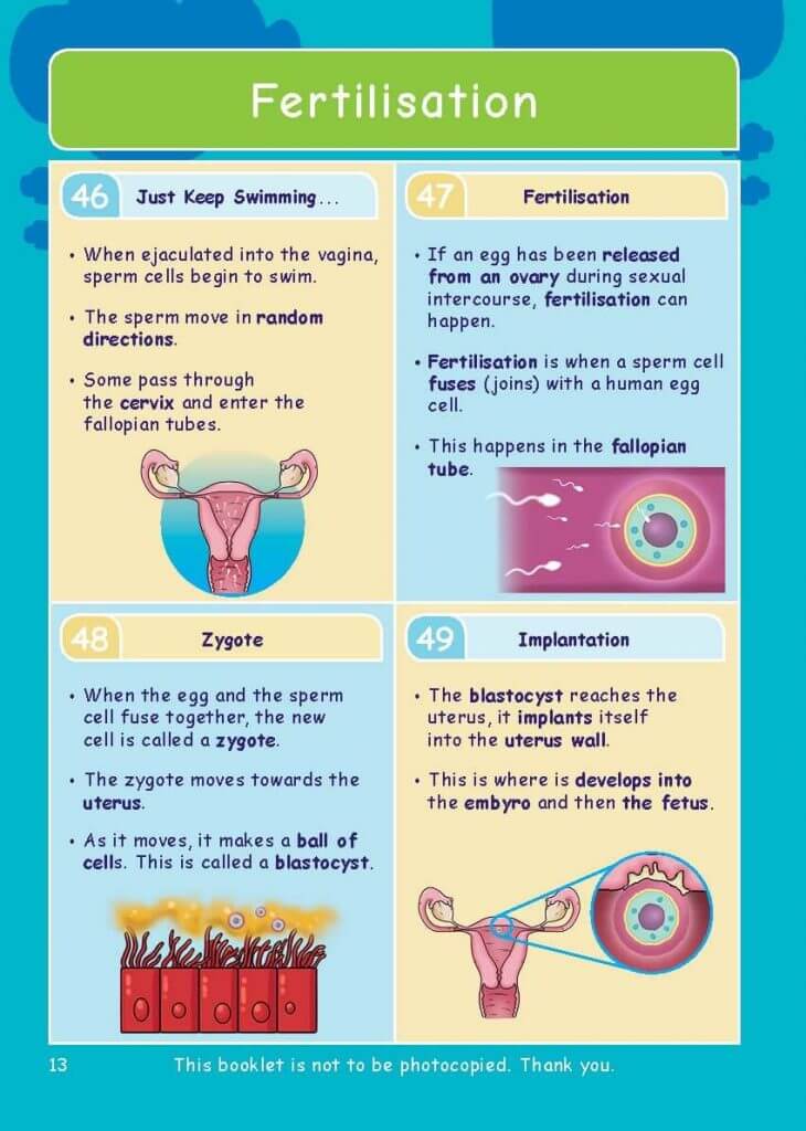 CE KS3 Biology: Puberty & Reproduction | Resources For Dyslexics