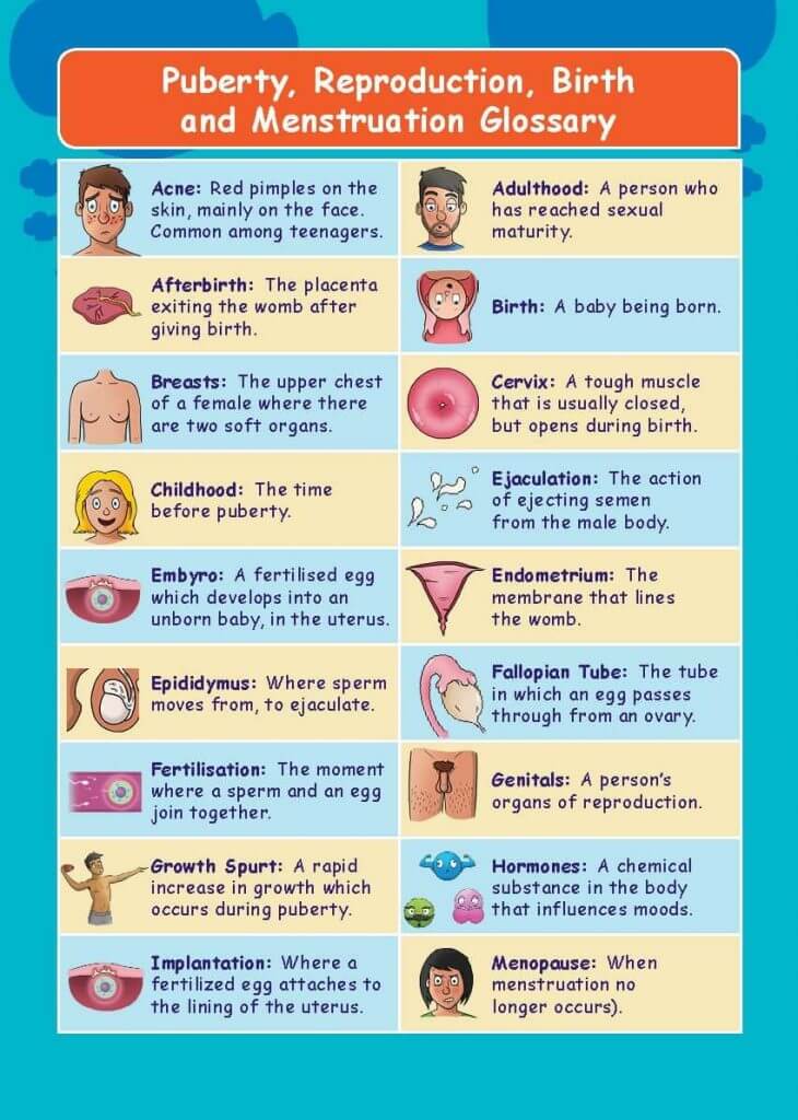 CE KS3 Biology: Puberty & Reproduction | Resources For Dyslexics