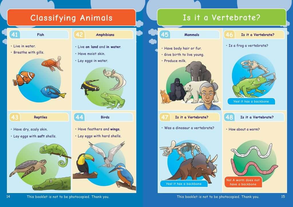 KS2 Biology: Living Things & Their Habitats | Resources For Dyslexics