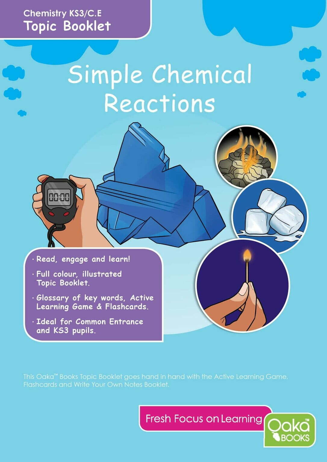 CE KS3 Chemistry | Pairs Revision Game | Resources For Dyslexics
