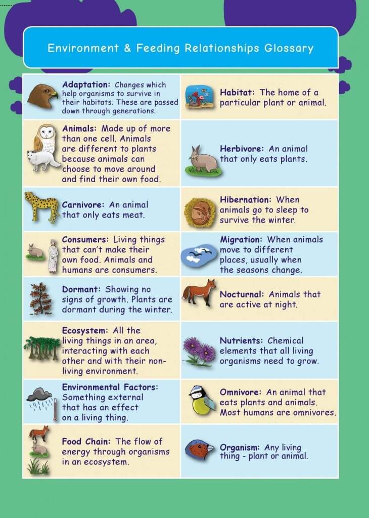 CE KS3 Biology: Environment| Resources For Dyslexics