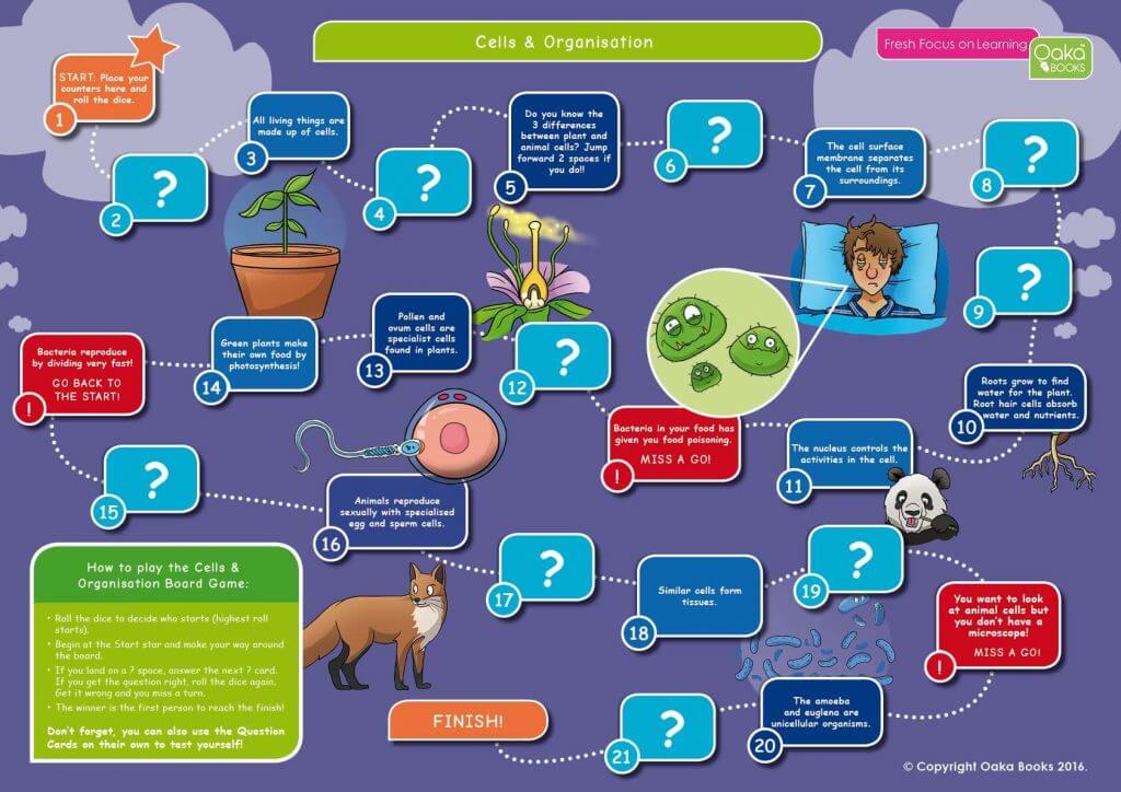 CE KS3 Biology: Cells & Organisation Part 1 | Resources For Dyslexics