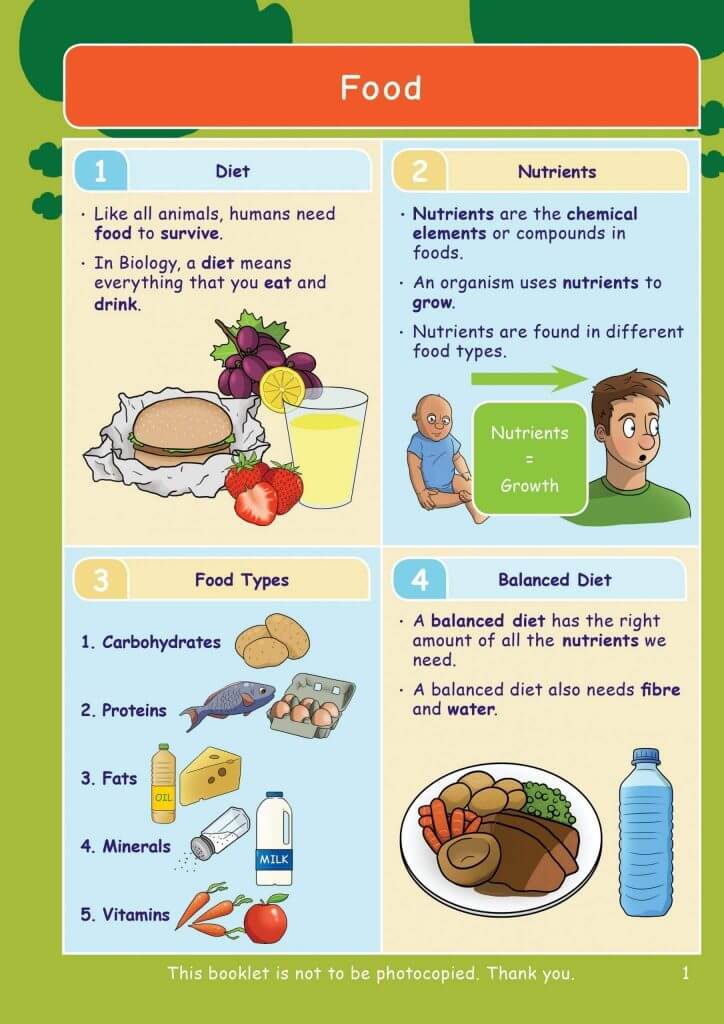 CE KS3 Biology: Food & Digestion | Resources For Dyslexics