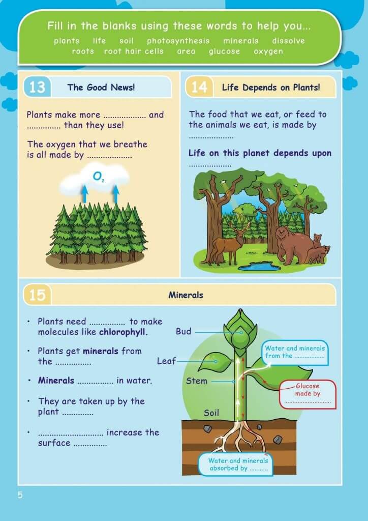 CE KS3 Biology: Plants & Photosynthesis | Resources For Dyslexics