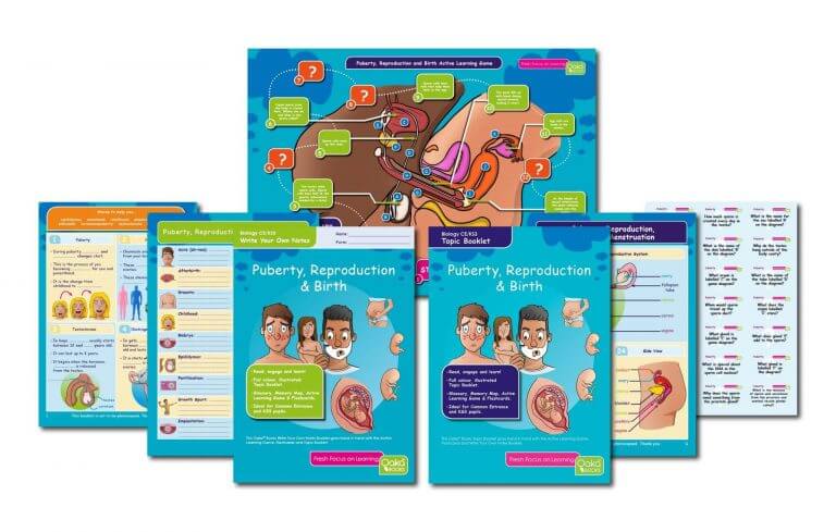 CE KS3 Biology: Puberty & Reproduction | Resources For Dyslexics