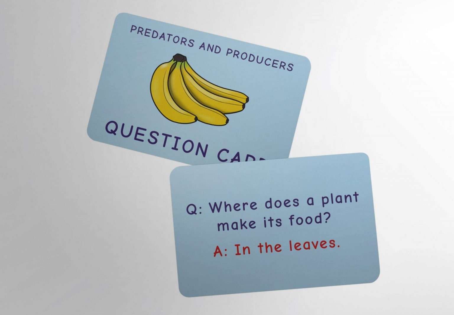 KS2 Living Things | Board Game | Resources For Dyslexics