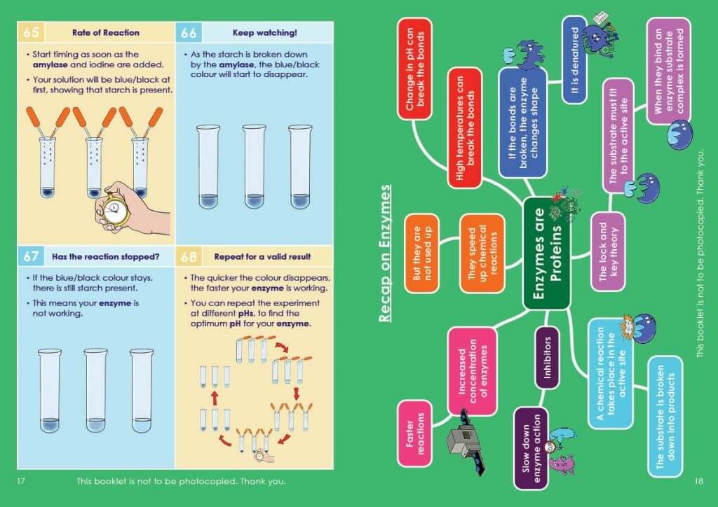 KS4/GCSE Biology | Enzymes Pack | Resources For Dyslexics