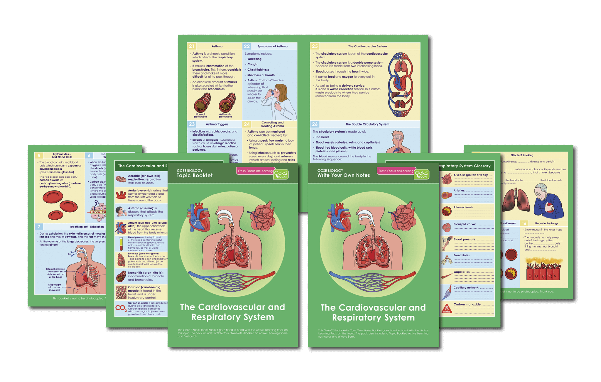 KS4/GCSE Biology | Cardiovascular and Respiratory Systems Pack ...