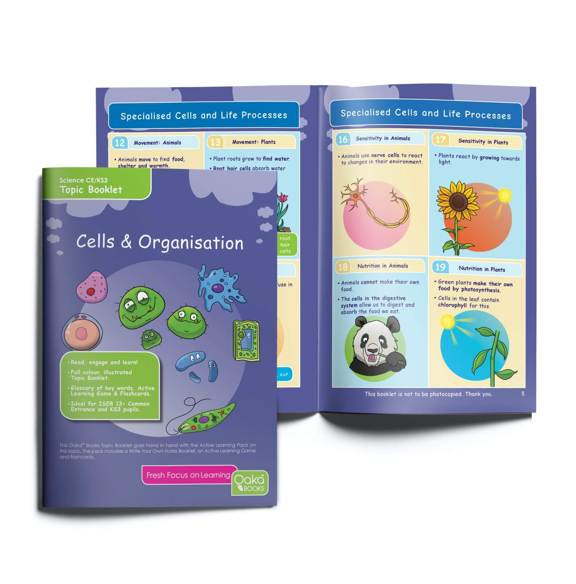 Revision Packs For Visual Learners - Oaka Books